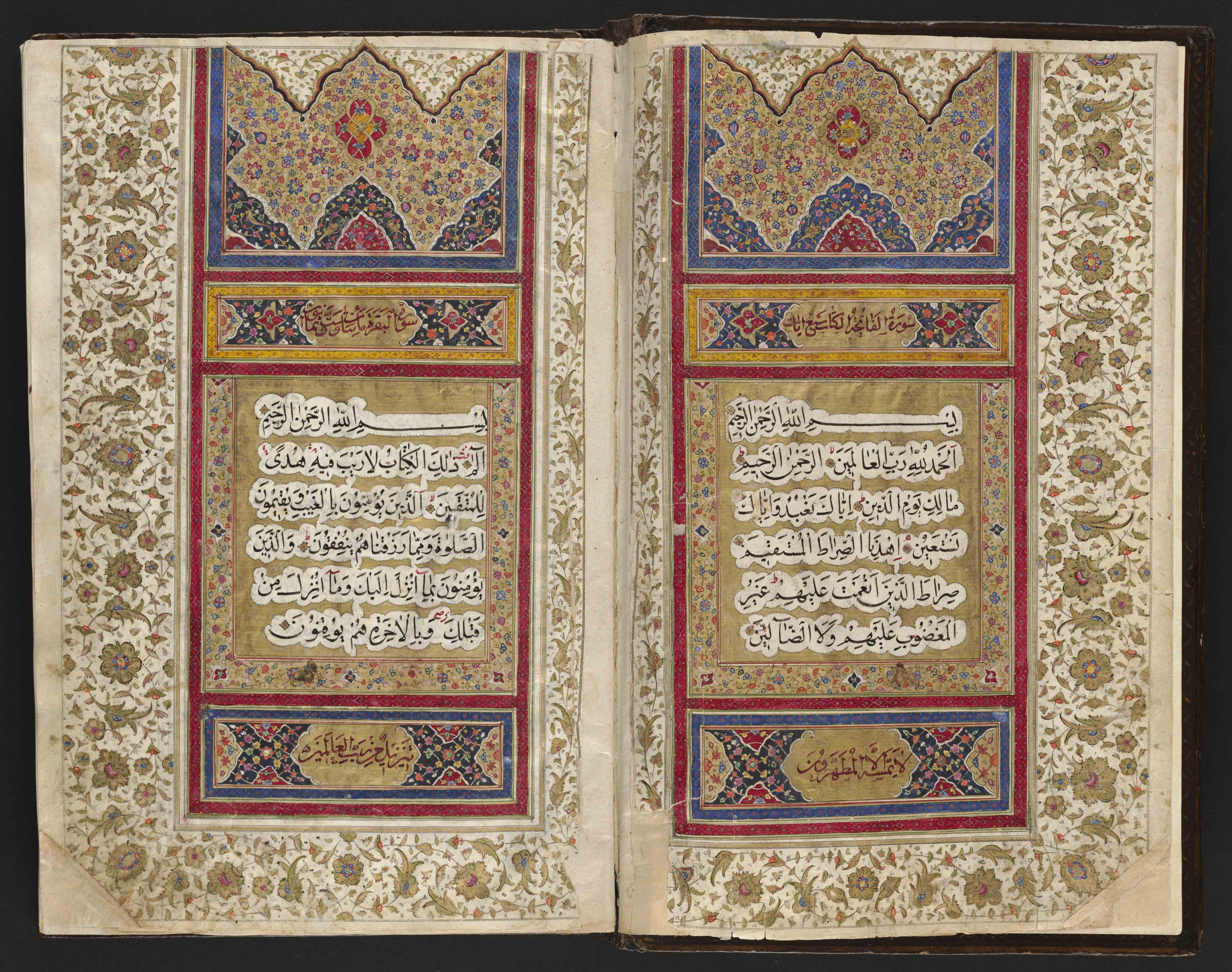 Publications - Ilex Foundation